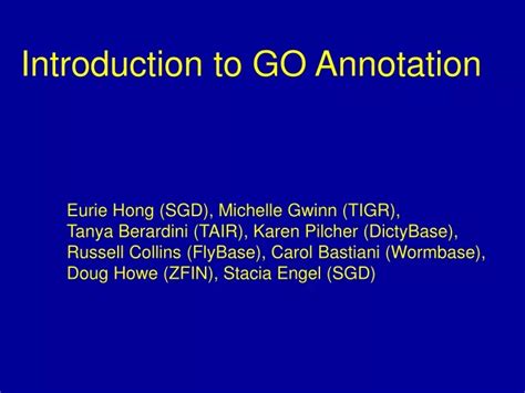 Ppt Introduction To Go Annotation Strategies And Granularity In Molecular Biology Powerpoint
