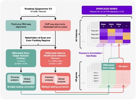 trang d on linkedin differential exon usage of developmental genes is
