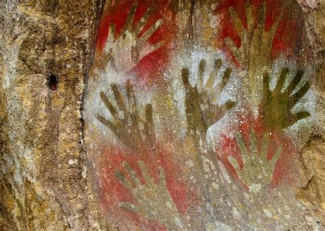 Decolonising Or Radicalising The Curriculum