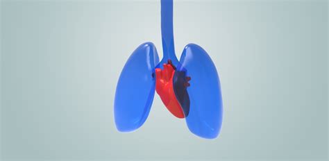 Negative Findings Should Not Deter Beta Blocker Use In Copd Patients