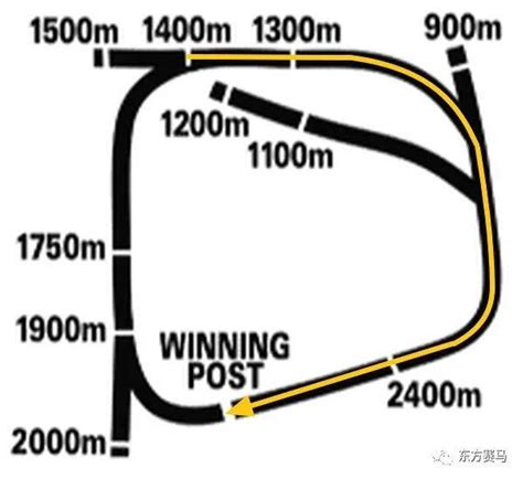 2022 全球纯血马一级赛周报0919 0925 哔哩哔哩