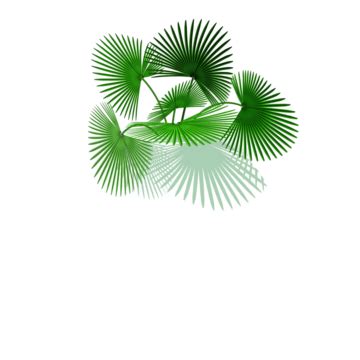 Png Pngtree