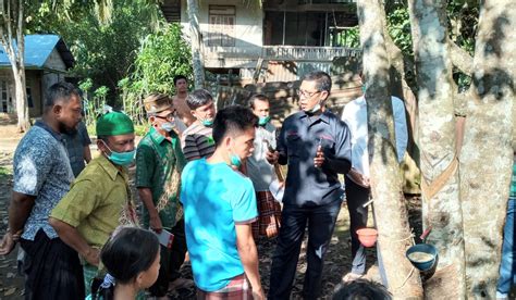 Activity Report PROJECT TREE