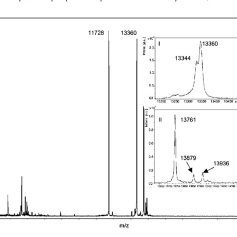 Linear Maldi Tof Ms Positive Ion Mode Profile Of Csf Protein From A