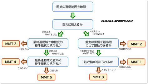 MMTって何リコンディショニングリハビリテーションの基礎徒手筋力検査法について解説 ユリーカスポーツ