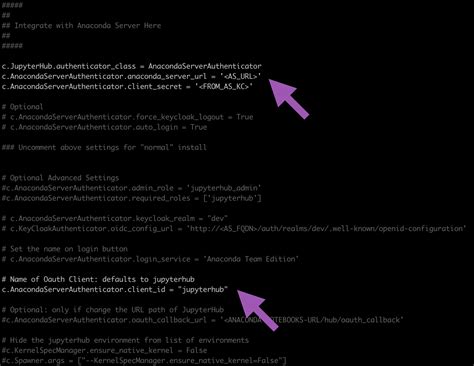 Integrating With Package Security Manager On Prem Anaconda