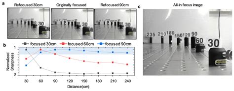 Results Of Light Field Image Processing A Image Of Light Field Download Scientific Diagram