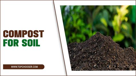 A Guide To Making And Using Compost For Soil Improvement
