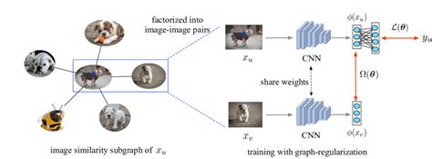 An Illustration Of A Graph Regularized Neural Network The Image