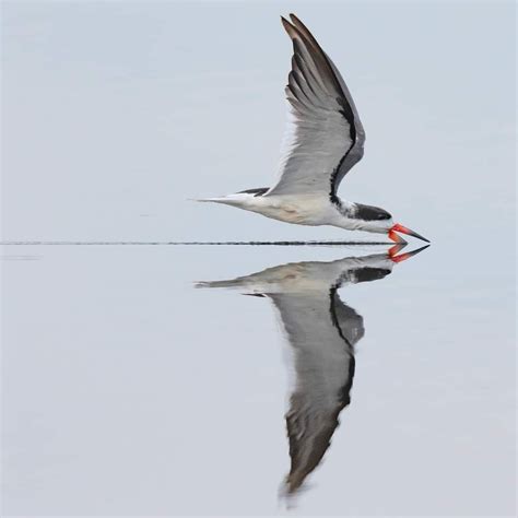 Senthil Kandasamy Posted On Linkedin