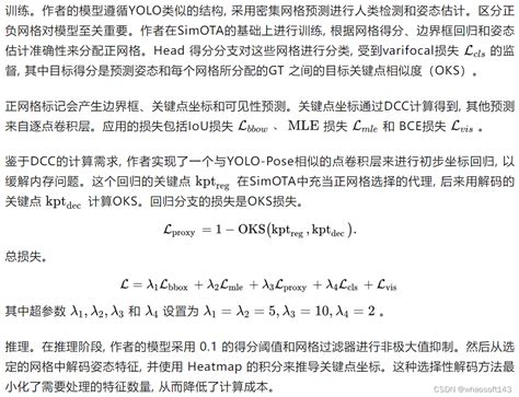 RTMO rtmo训练 CSDN博客