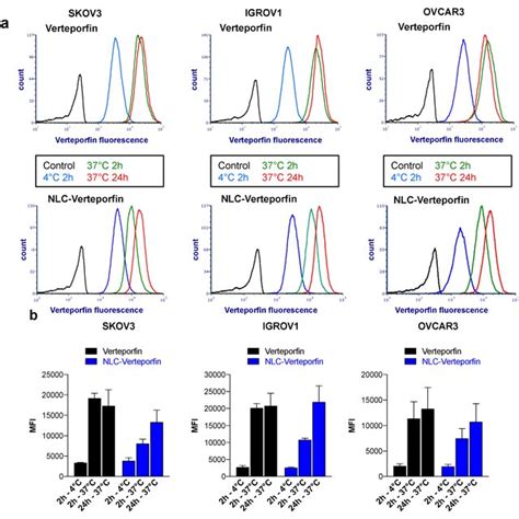 Verteporfin And Nlc Verteporfin Interact With Ovarian Cancer Cells