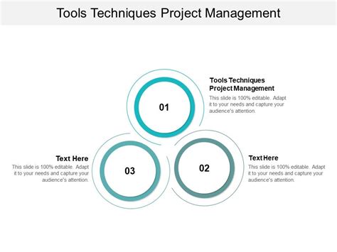 Tools Techniques Project Management Ppt Powerpoint Presentation Slides Structure Cpb