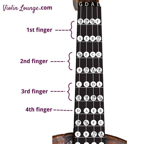 Violin String Notes Chart