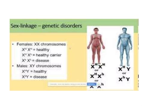 Polygenicinheritanceatavism Multiple Allelism Pptx