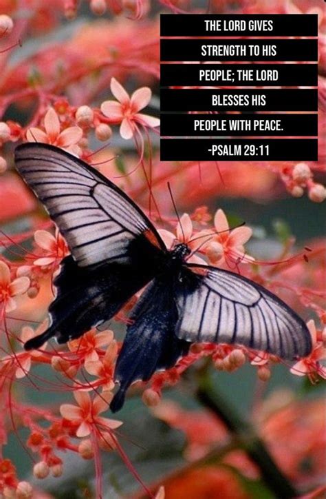He Gives Us Strength And Peace Artofit