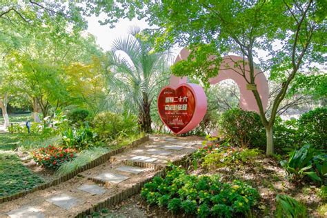 崇明公园里添了“新装”，你发现了吗？