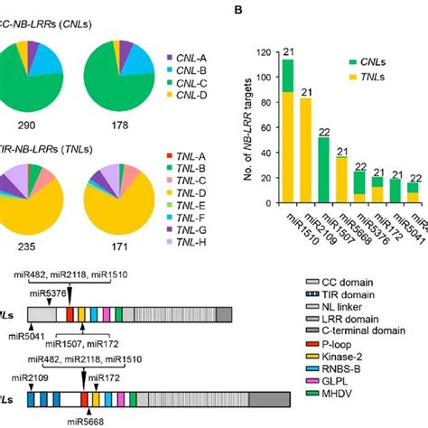Putative Nucleotide Binding Site Leucine Rich Repeat Nb Lrr Targets Download Scientific