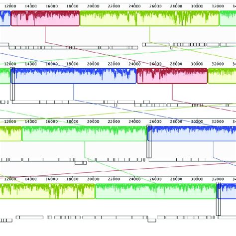 Whole Genome Alignment Of The Phage Uaemi 01 And Three Phage Genomes