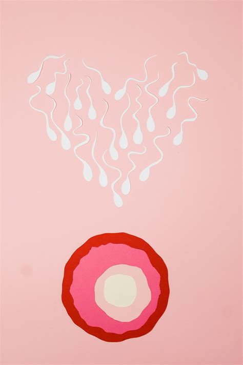 Boost Your Fertility Factors Affecting Sperm Count And Infertility