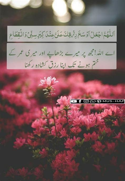 Ahsan Saleem On Linkedin Ameen