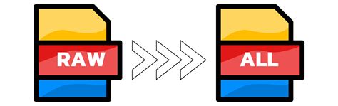 RAW Converter 100 Gratis
