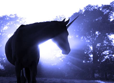 Enchanting Unicorn Facts Too Magical To Miss Facts Net
