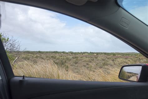 Free Image Of Car Passenger Window And Empty Roadside Freebiephotography