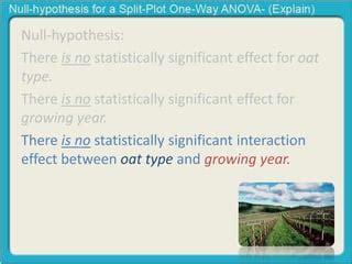 Null Hypothesis For Split Plot ANOVA PPTX