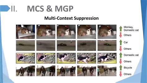 T Cnn Tubelets With Convolutional Neural Networks For Object Detection From Videos Youtube