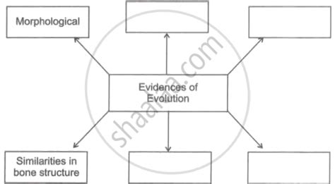 Complete The Following Diagram Evidences Of Evolution Science And