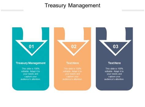 Treasury Management Powerpoint Templates Ppt Slides Images Graphics