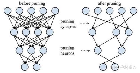 我是如何利用tensorflow model pruning模块对模型算法进行剪枝的 知乎