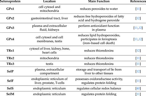 Redox Active Selenoproteins Their Location And Main Functions Download Scientific Diagram