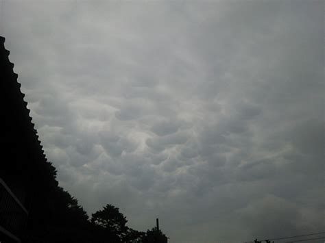 乳房雲 苔のカエルの雑記録