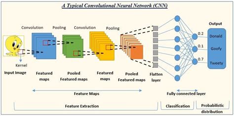 【ai深究】cnn中的卷积核参数共享（parameter Sharing）与感受野推导（receptive Field）——全网最详细全流程详解与案例（附python代码演示）原理数学推导