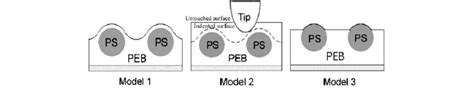 Schematic Diagrams Showing The Different Correlations Between The Download Scientific Diagram