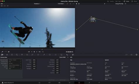 Camera Raw Iso Intermittently Greyed Out Rdavinciresolve