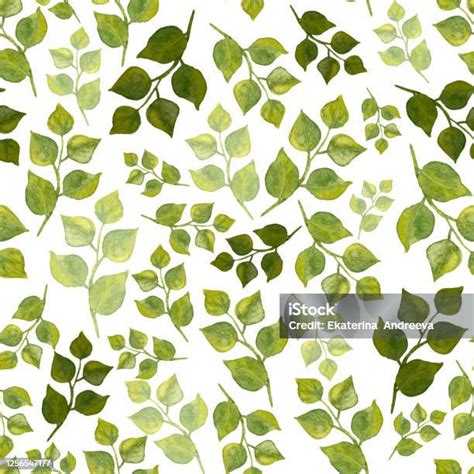 잎의 원활한 패턴 흰색으로 분리 된 수채화 녹색 잎이 많은 나뭇 가지 손으로 그린 둥근 뾰족한 단풍 어둡고 밝고 중간 색상입니다