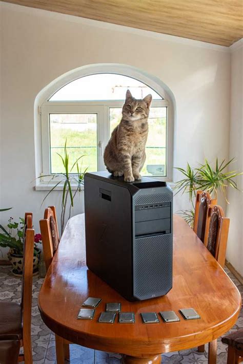 Hp Z6 G4 Lga 3647 T7820 Lenovo P720 Dell 5810 7810 Dell 7820 16 500 грн Настільні компютери