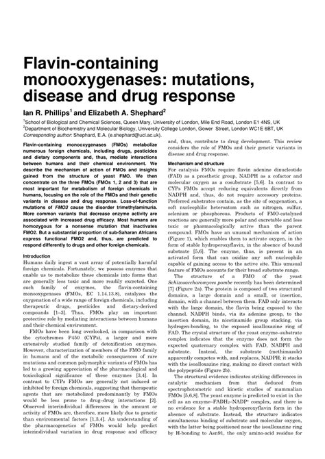 Pdf Flavin Containing Monooxygenases Mutations Disease And Drug Response