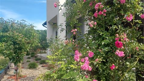 ПОЛЬША☝️ ДОМ В КОТОРОМ МЫ ЖИВЕМ👍 И ЕДИМ 😋 Youtube