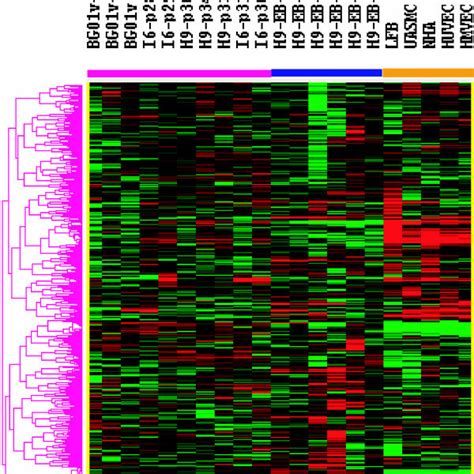 Unsupervised Hierarchical Clustering Of Genes The Gene Expression Data Download Scientific