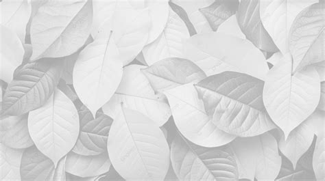 질감을 위해 미꾸라지 잎을 사용하여 노란색과 부르고뉴의 가을 잎을 닫습니다 가을 나무 녹색 나무 숲의 질감 Png 일러스트 및 이미지 에 대한 무료 다운로드 Pngtree