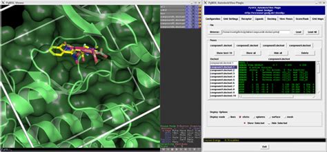 Ligand Docking And Binding Site Analysis With Pymol And Autodockvina