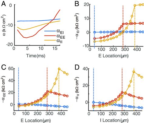 Spatiotemporal Properties Of The Integration Coefficients A α Ee α