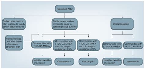 Algorithm For The Suggested Initial Antibiotic Therapy Of Acute Download Scientific Diagram