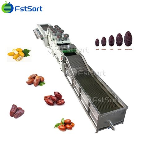 Fstsort Stainless Steel Automatic Fruit Sorting Machine Date Sorting Machine China Fstsort
