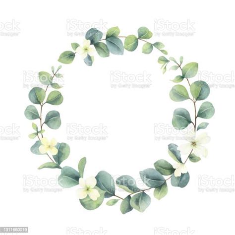 수채화 벡터 손 그린 화환 녹색 유칼립투스 잎과 꽃 흰색 배경에 고립 된 초대장 결혼식 또는 인사말 카드에 대한 그림입니다 여름 현대 꽃과 녹지 클립 아트 유칼립투스에 대한