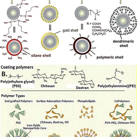 Surface Functionalization Of Core Magnetic Nanoparticles A